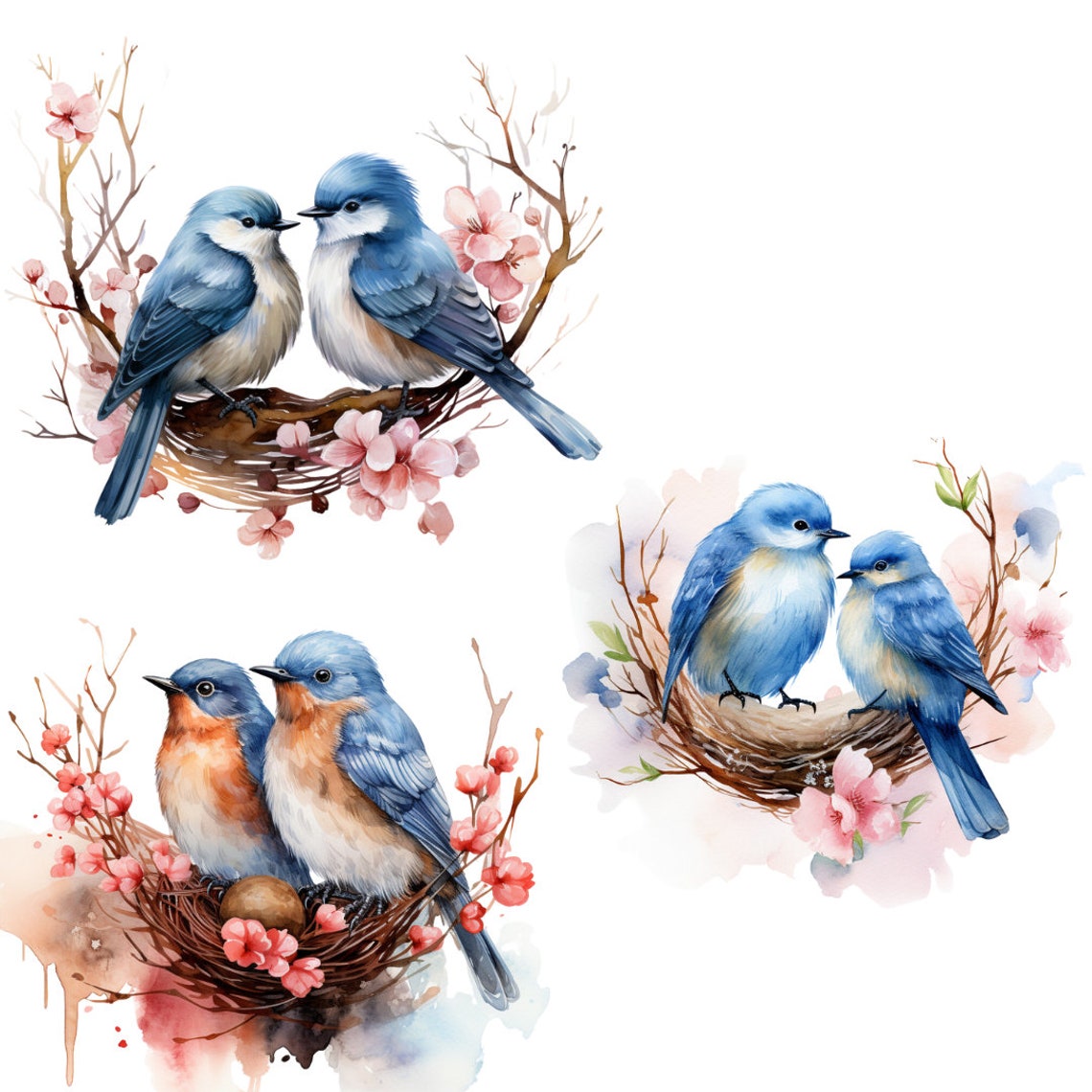 Romantic Bird Clipart Bundle Sweet Lovebirds in a Heart-shaped Nest 20 ...