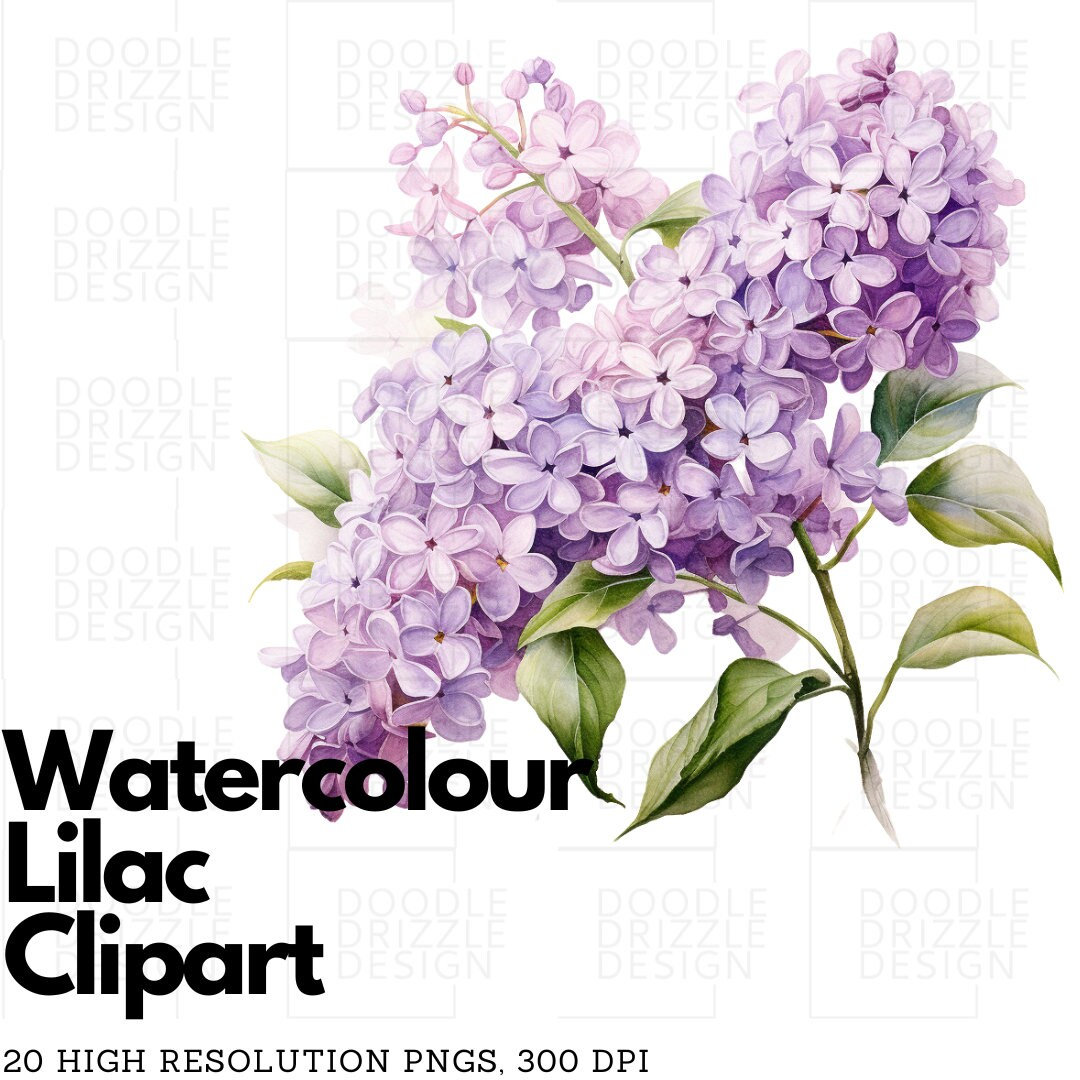 Lilac Flower Background Clip Art