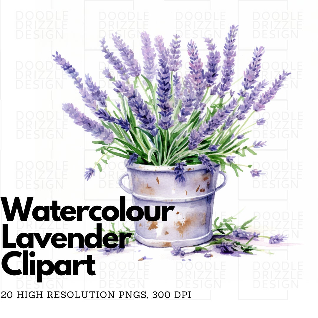 Watercolor Floral Lavender Clipart, Summer Flowers Lavender Bouquets ...