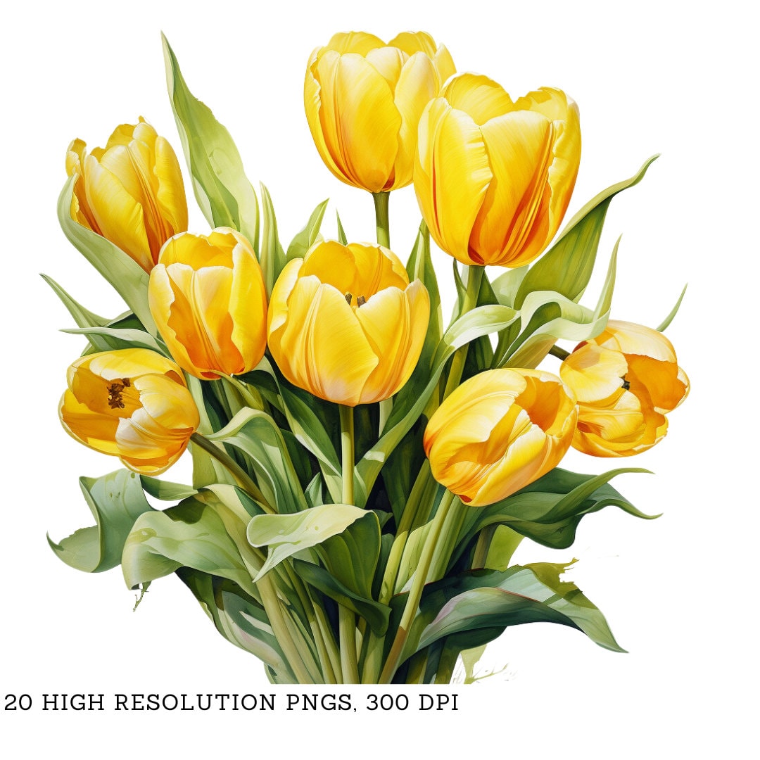 Watercolor Yellow Tulips Clipart Pack - 20 Pngs - Beautiful Summer ...