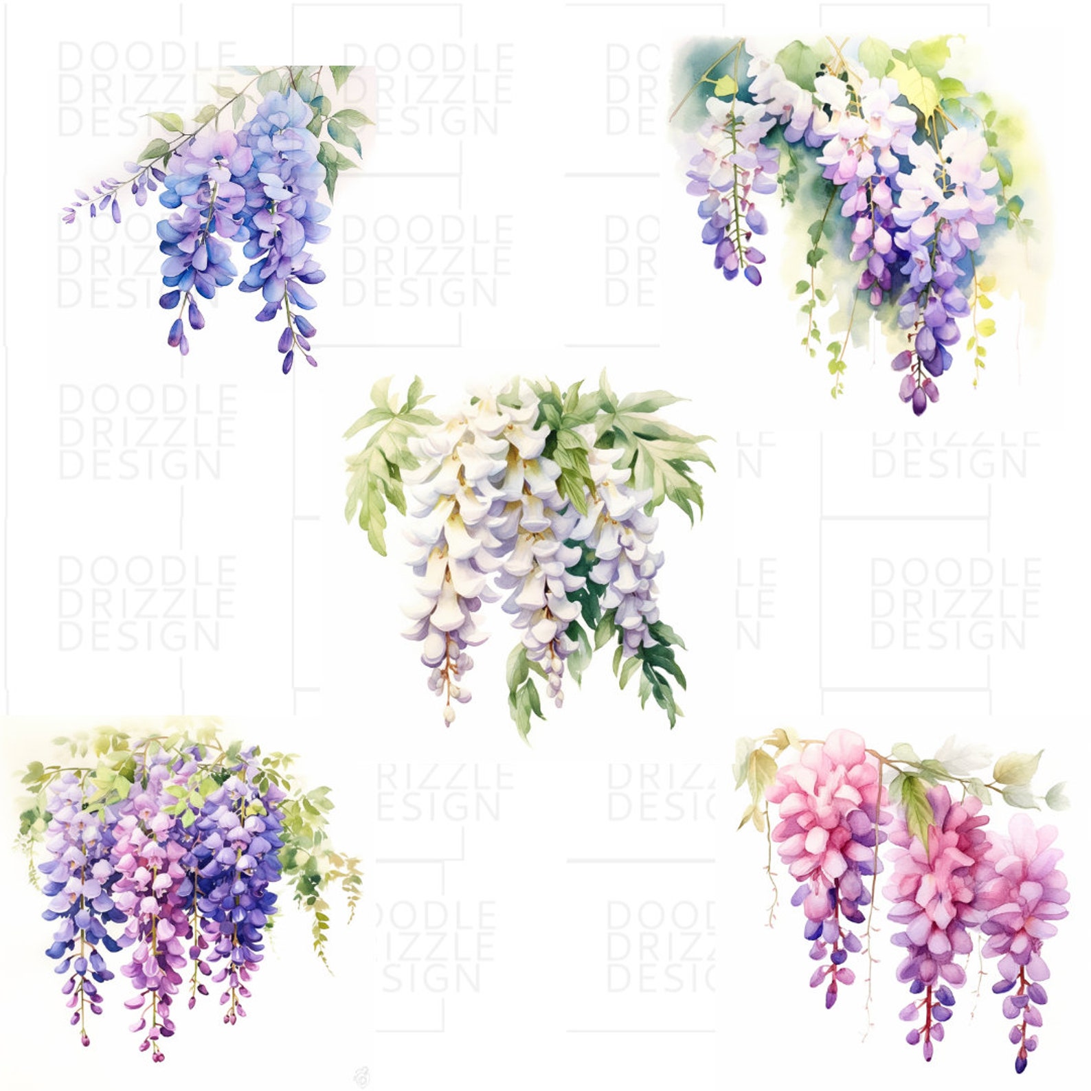 Watercolor Floral Wisteria Clipart, Summer Flowers Spring Floral ...