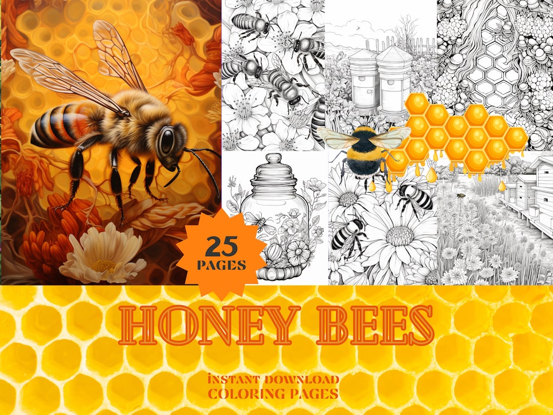 Honey Bees Coloring Pages Instant Download PDF Coloring Book for Adults ...