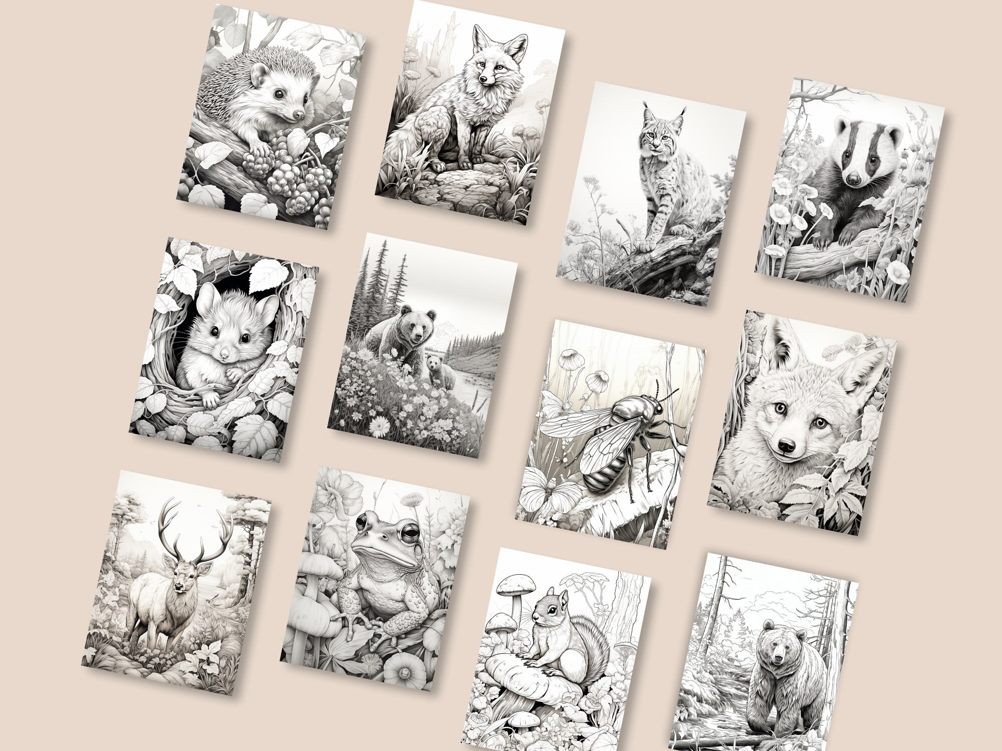 Forest Creatures Coloring Pages Instant Download PDF Coloring Book for ...