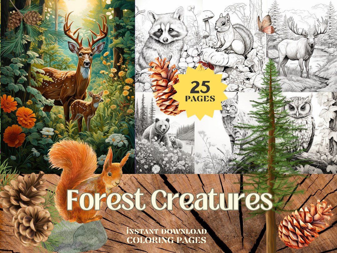 Forest Creatures Coloring Pages Instant Download PDF Coloring Book for ...