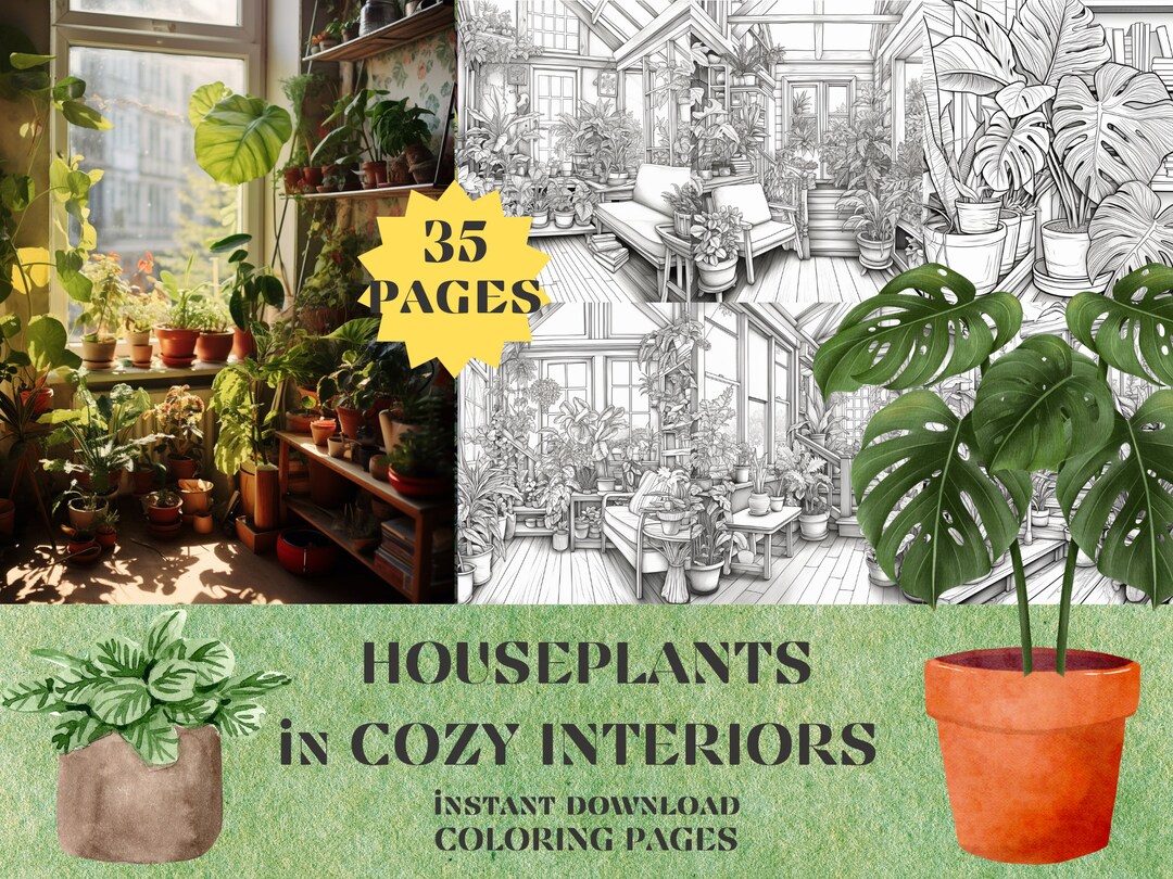 Houseplants in Cozy Interiors Coloring Pages Instant Download PDF Pages ...