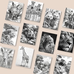 African Safari Coloring Pages Instant Download PDF Pages Coloring Book ...