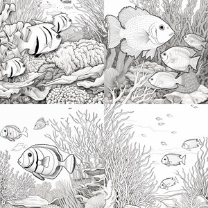 Coral Reef Coloring Pages 25 Instant Download PDF Pages Coloring Book ...