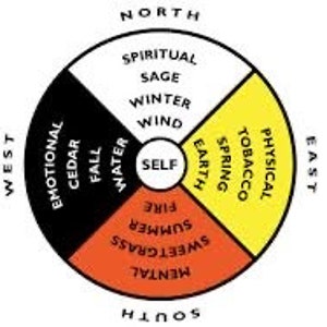 Pinus Ponderosa Medicine Wheel - Etsy