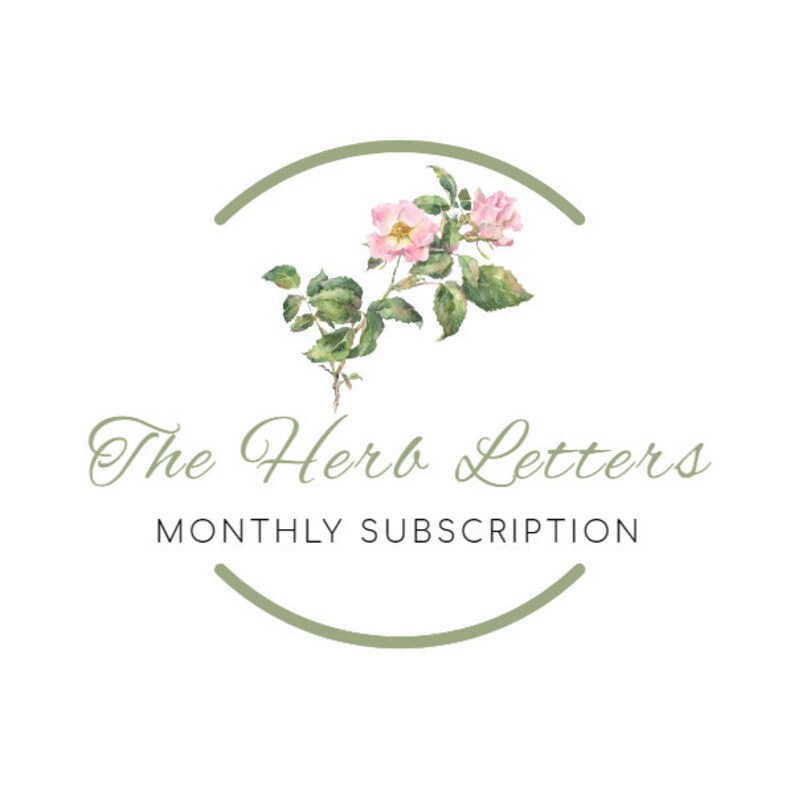 Lily A Medieval Romance the Herb Letters Monthly - Etsy