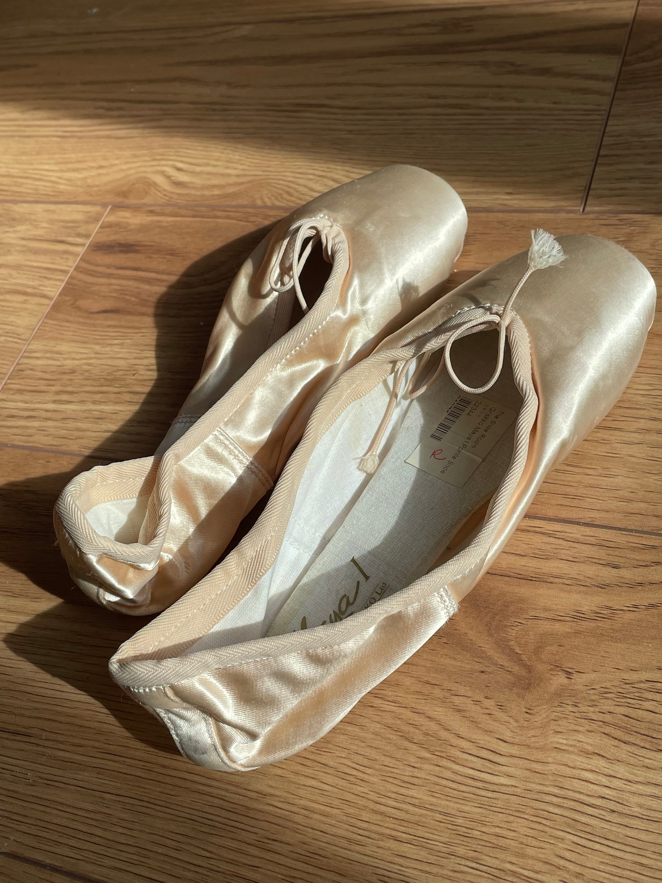Grishko Maya 1 Pointe Shoes - Etsy