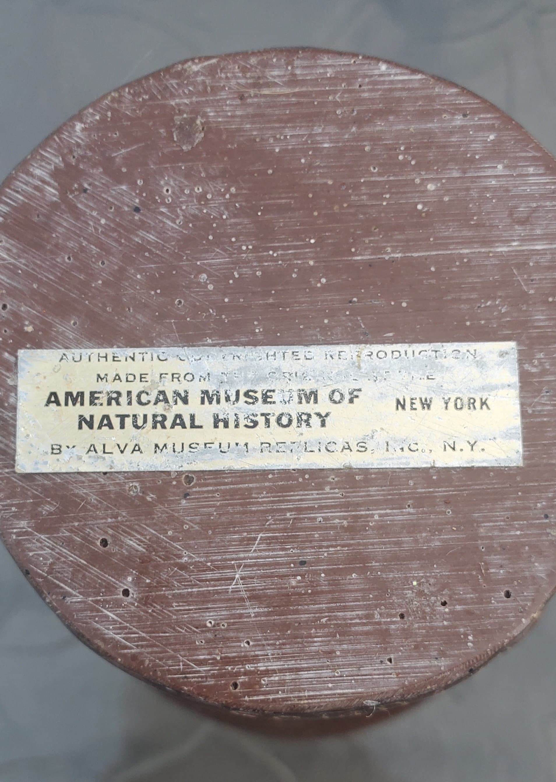 1951 Alva Studios Authentic American Museum of Natural History African ...