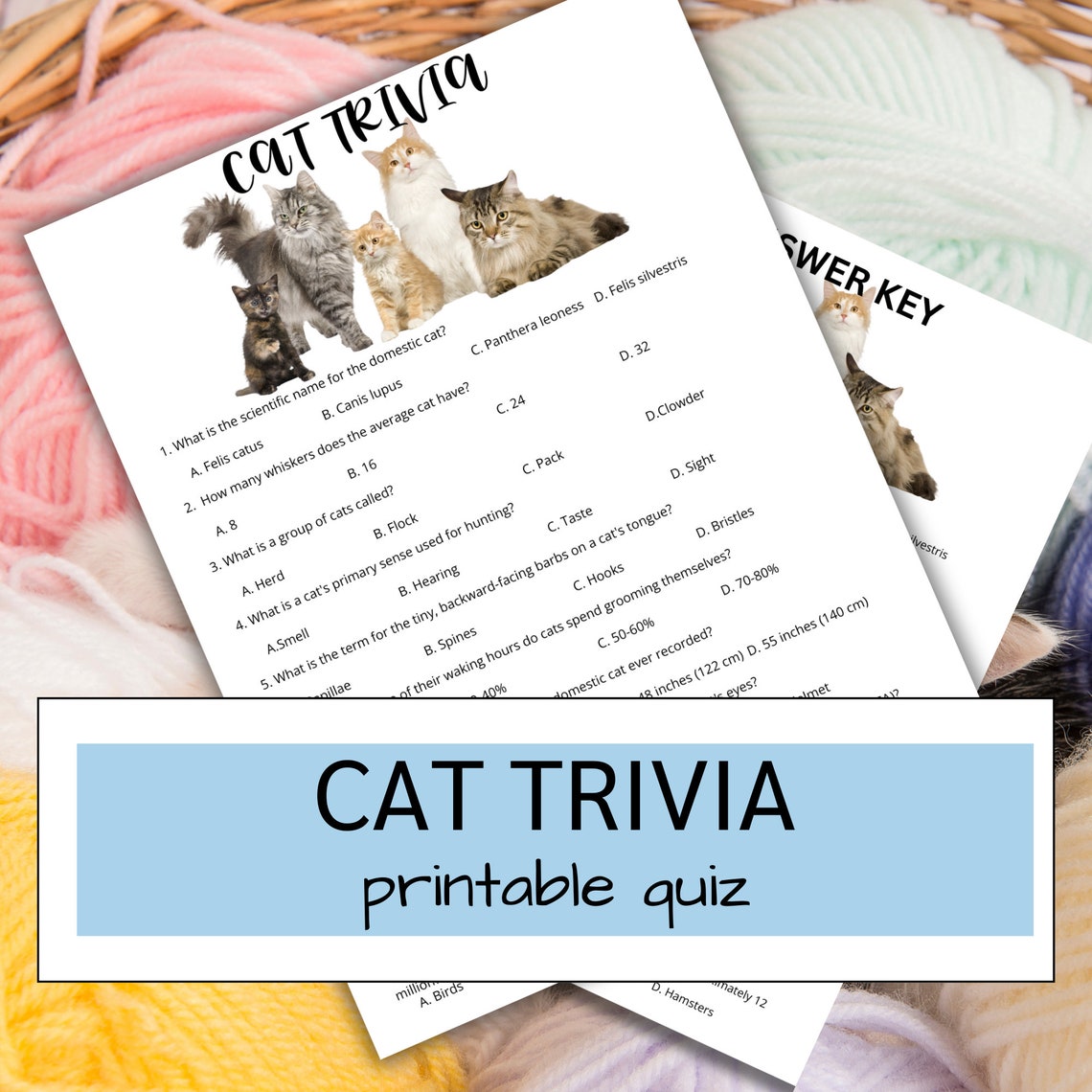 Cat Quiz Printable | Feline Trivia Game | Pet Owner Activities | Animal ...