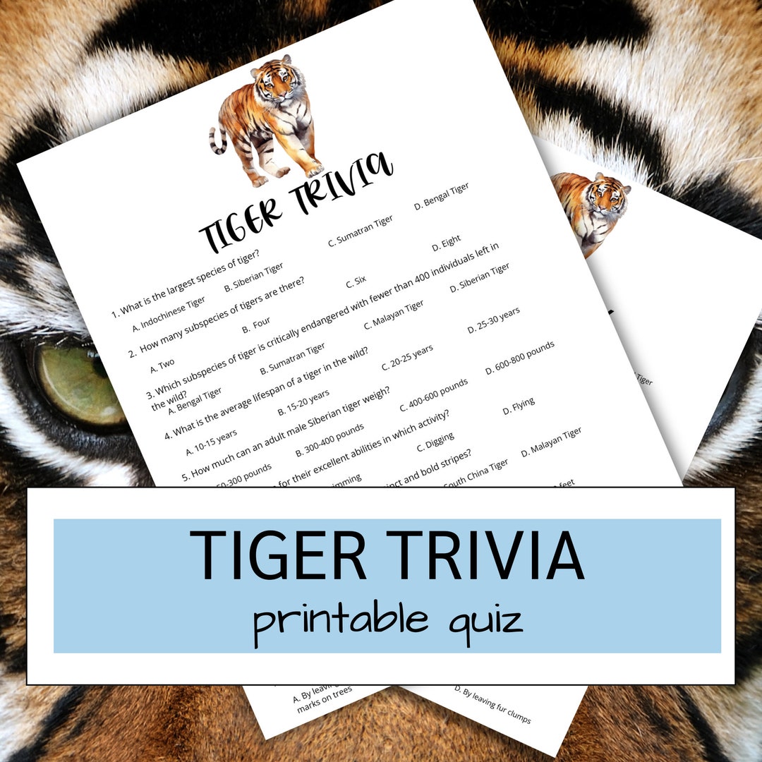 Tiger Quiz Printable | Tiger Trivia Game | Zoo Animal Classroom ...