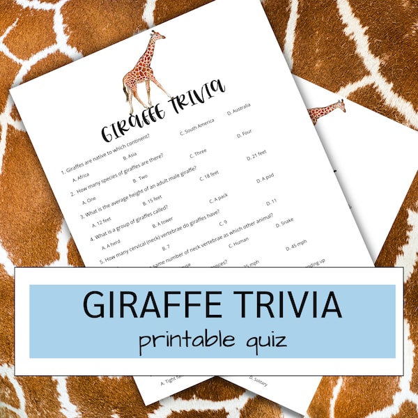 Giraffe Classroom - Etsy