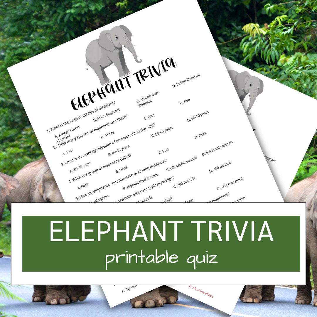 Elephant Printable Quiz | Elephant Trivia Game | Animal Classroom ...