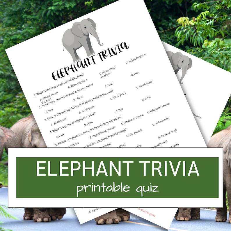 Elephant Printable Quiz | Elephant Trivia Game | Animal Classroom ...