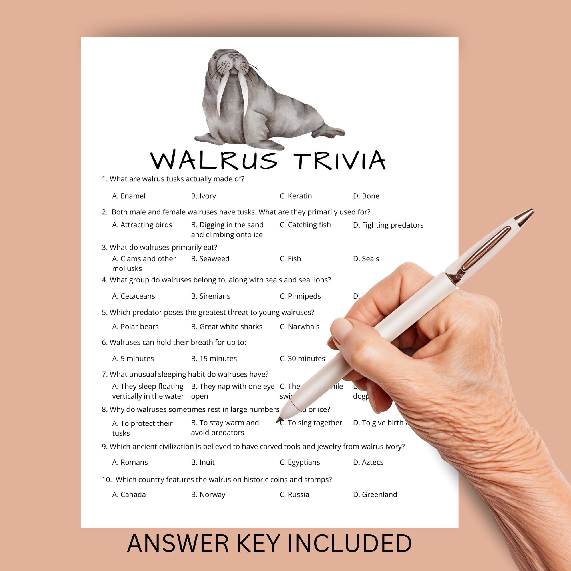 Walrus Printable Quiz | Walrus Trivia Game | Animal Classroom Activity ...