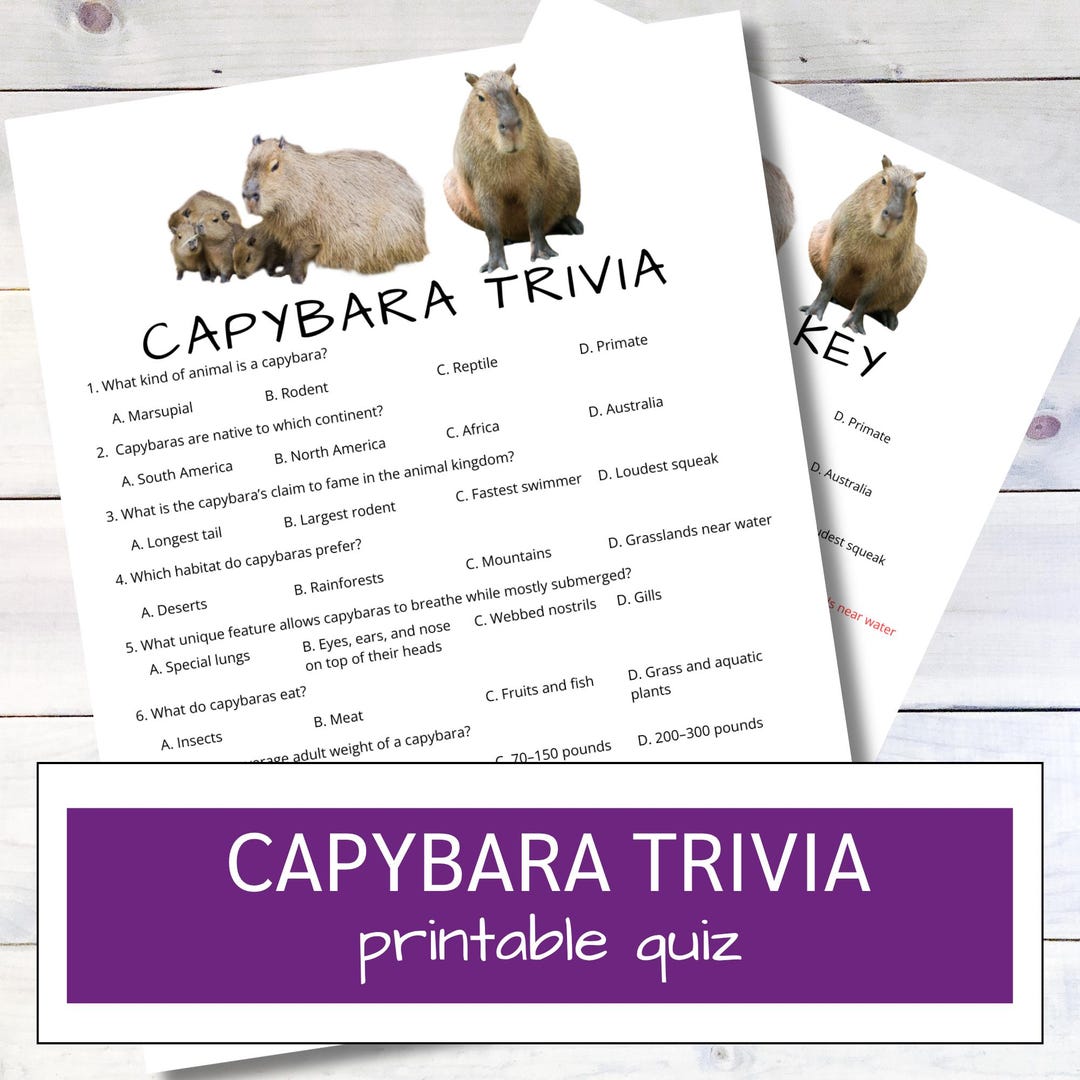 Capybara Printable Quiz | Capybara Trivia Game | Animal Classroom ...