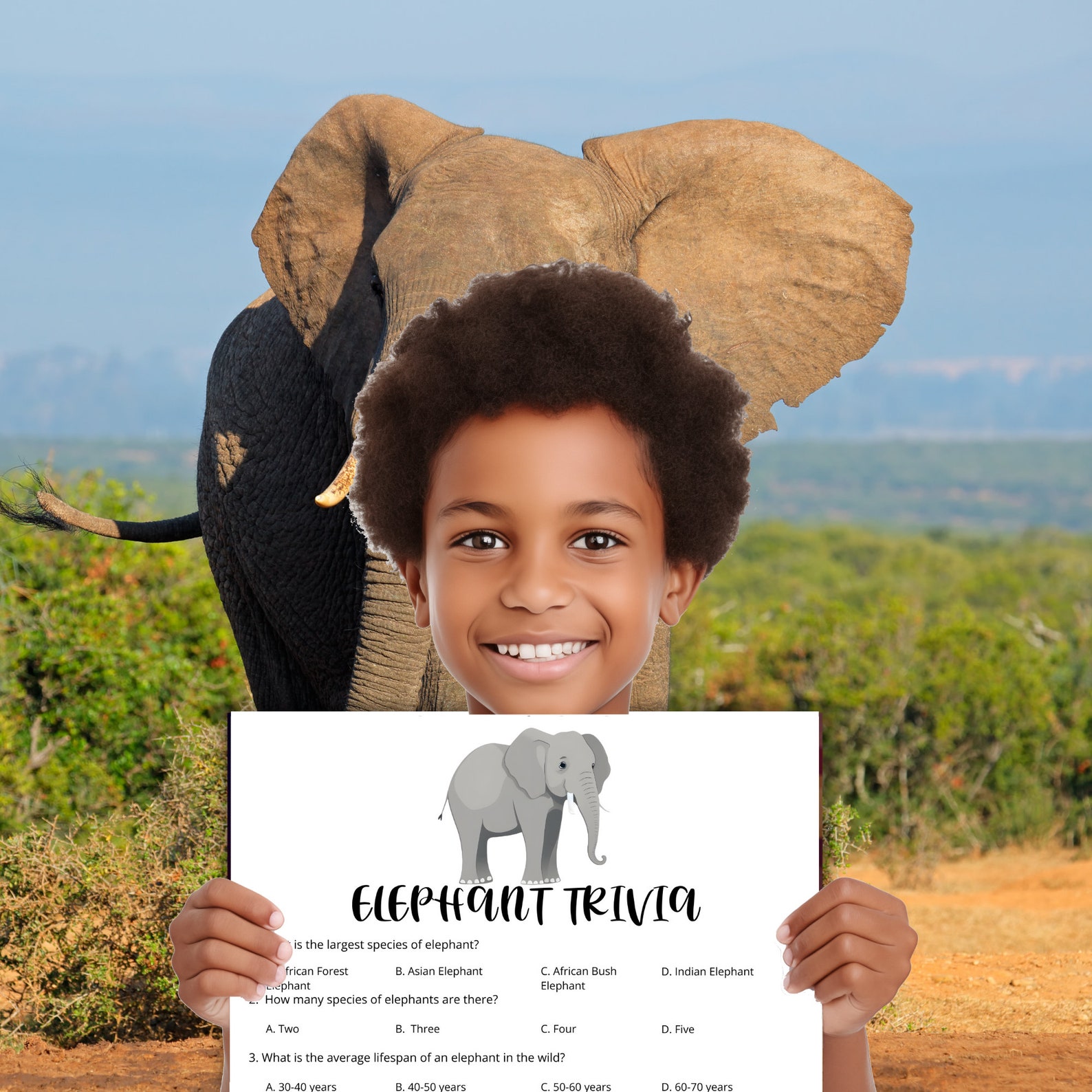 Elephant Printable Quiz | Elephant Trivia Game | Animal Classroom ...