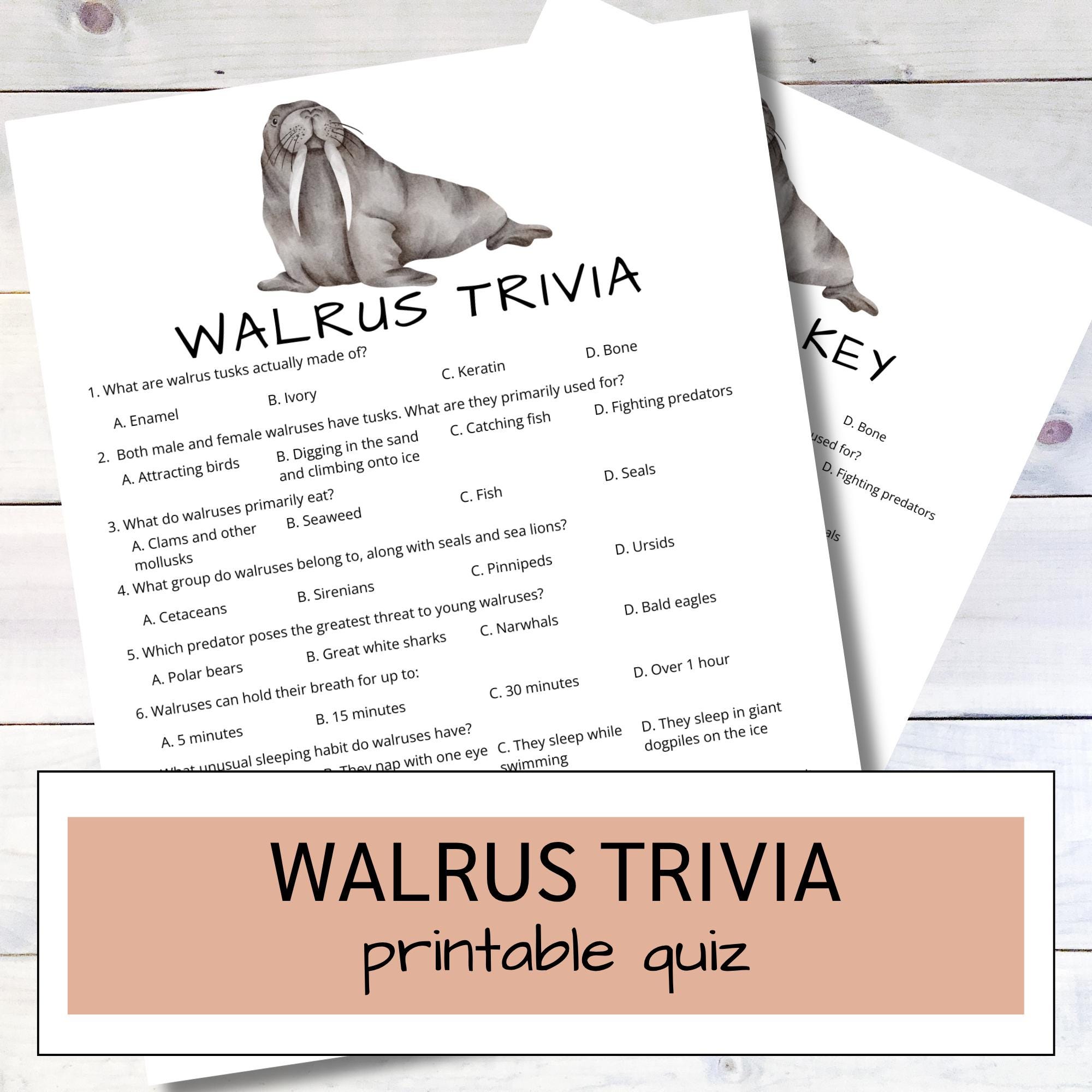 Walrus Printable Quiz | Walrus Trivia Game | Animal Classroom Activity ...
