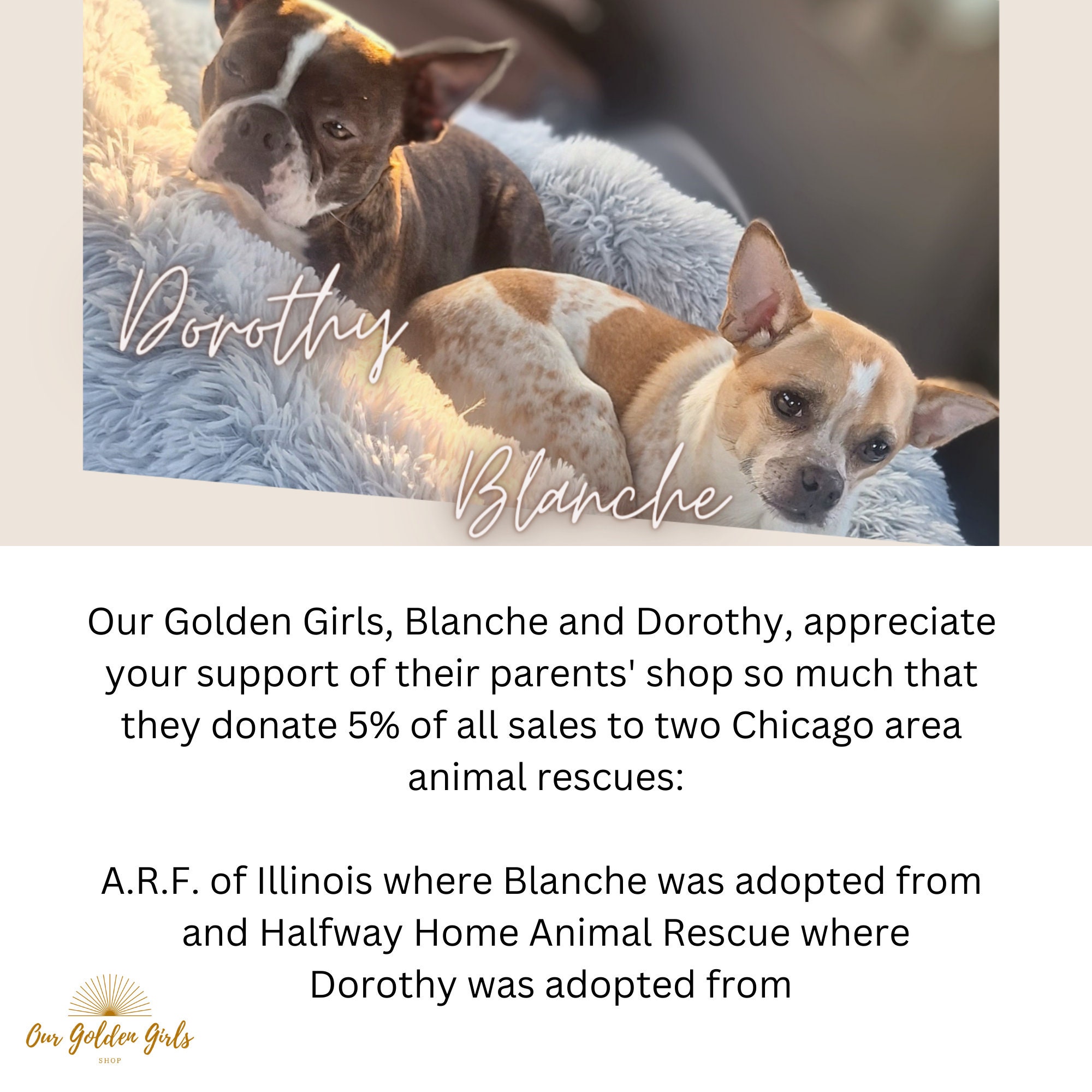 Printable Admit One Christmas Surprise Experience Ticket Template ...