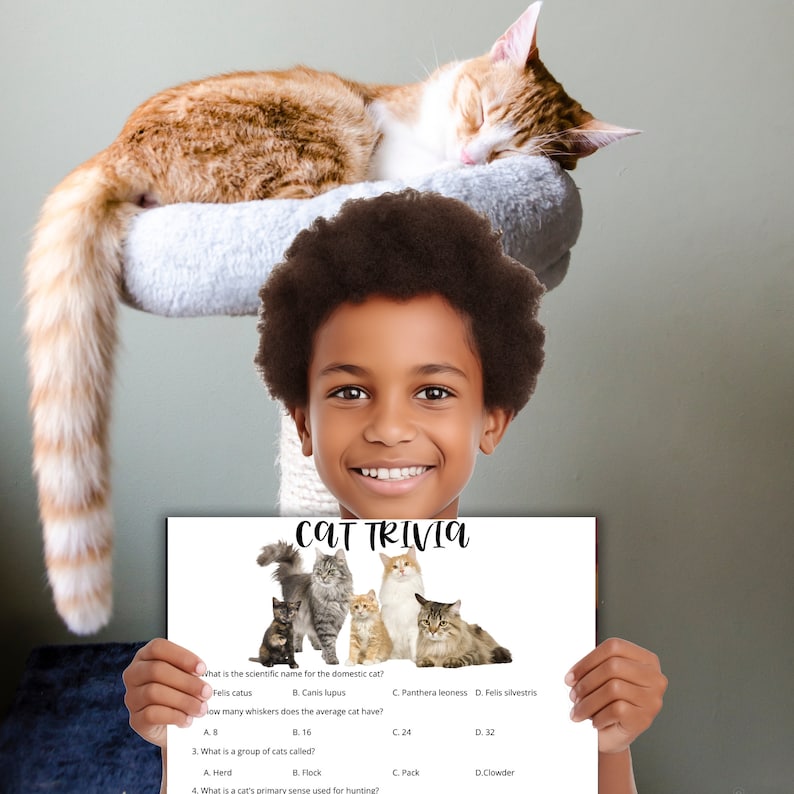 Cat Trivia Quiz: Fun Feline Family Game (printable PDF) - Etsy