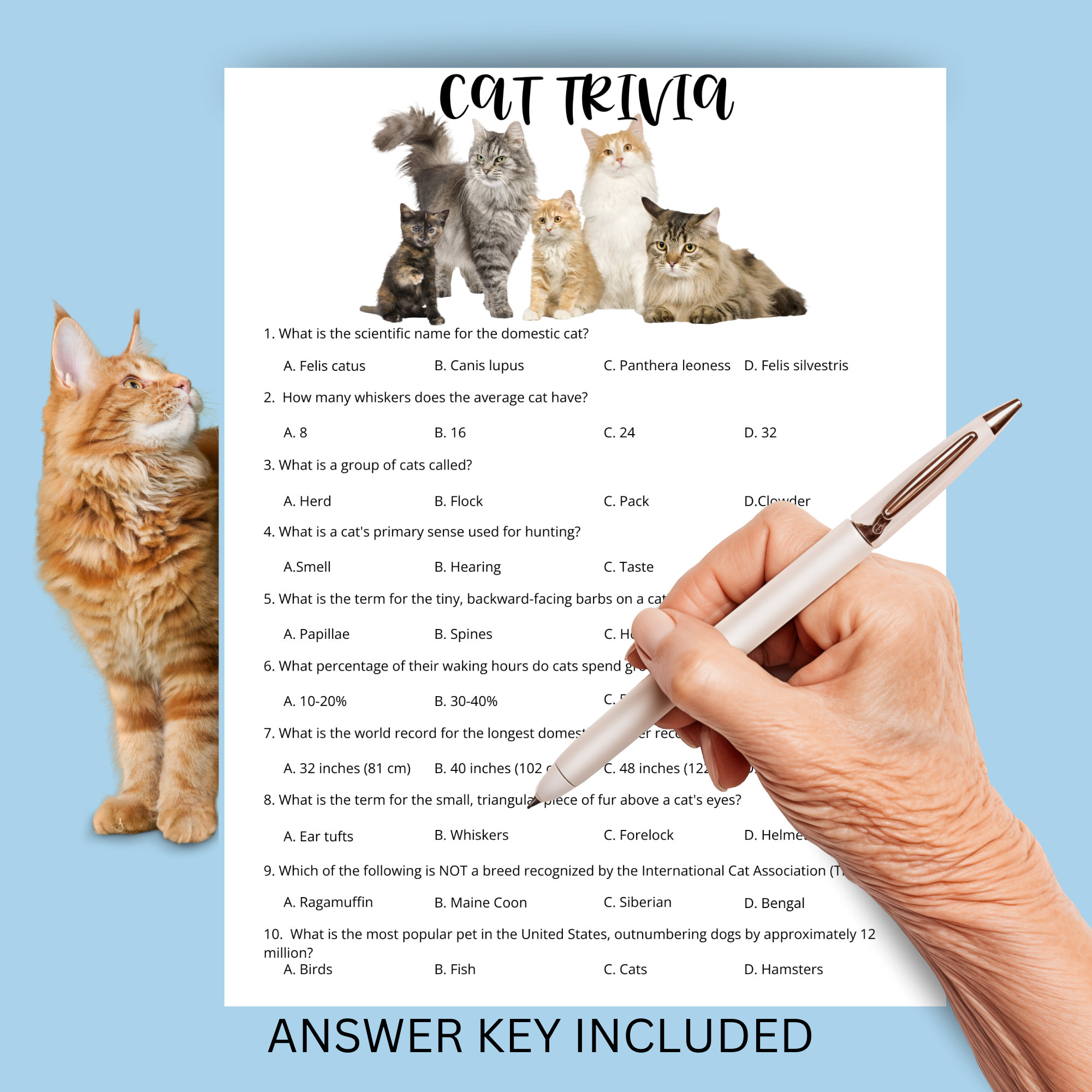 Cat Quiz Printable | Feline Trivia Game | Pet Owner Activities | Animal ...