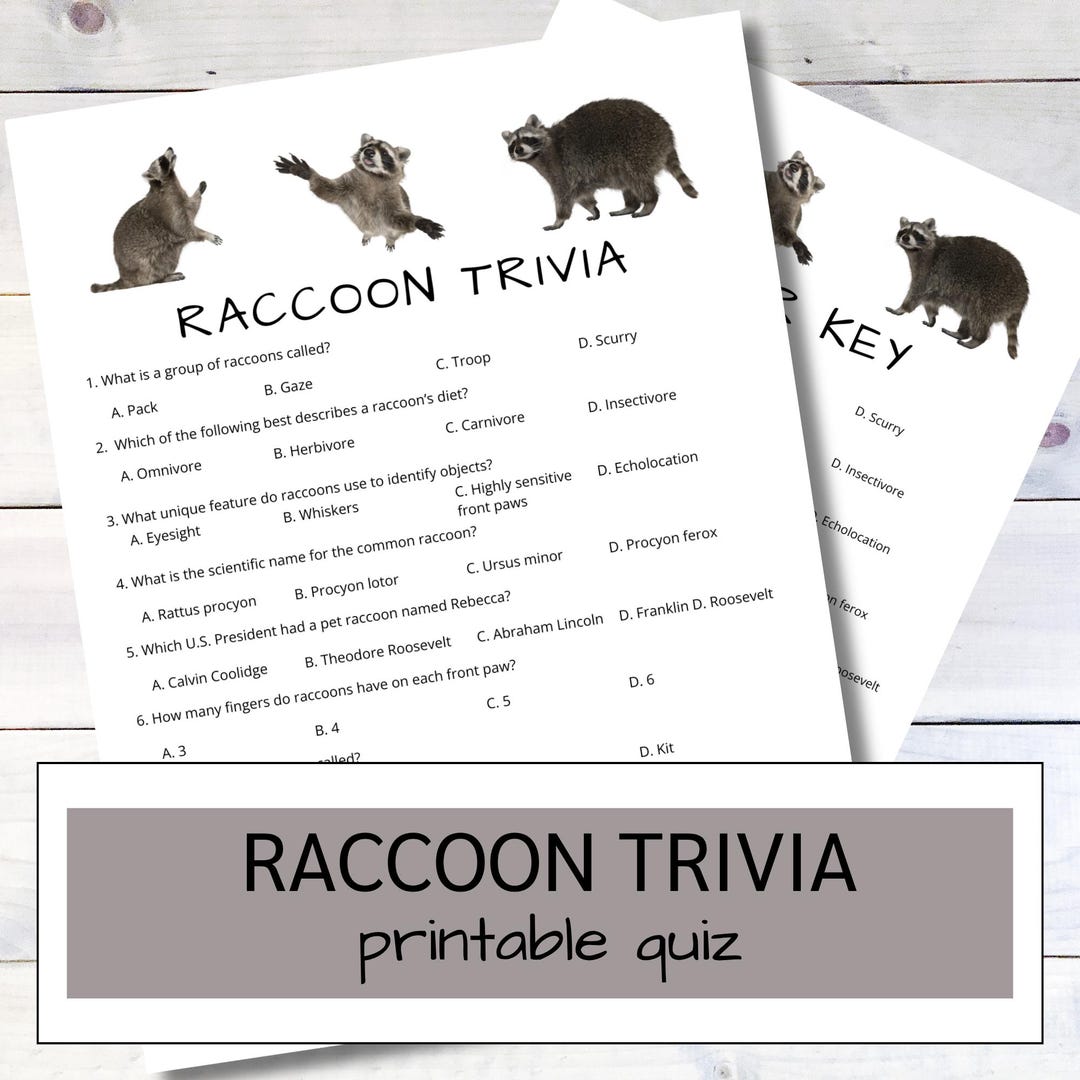 Raccoon Trivia Quiz: Printable Birthday Party Game (PDF Download) - Etsy