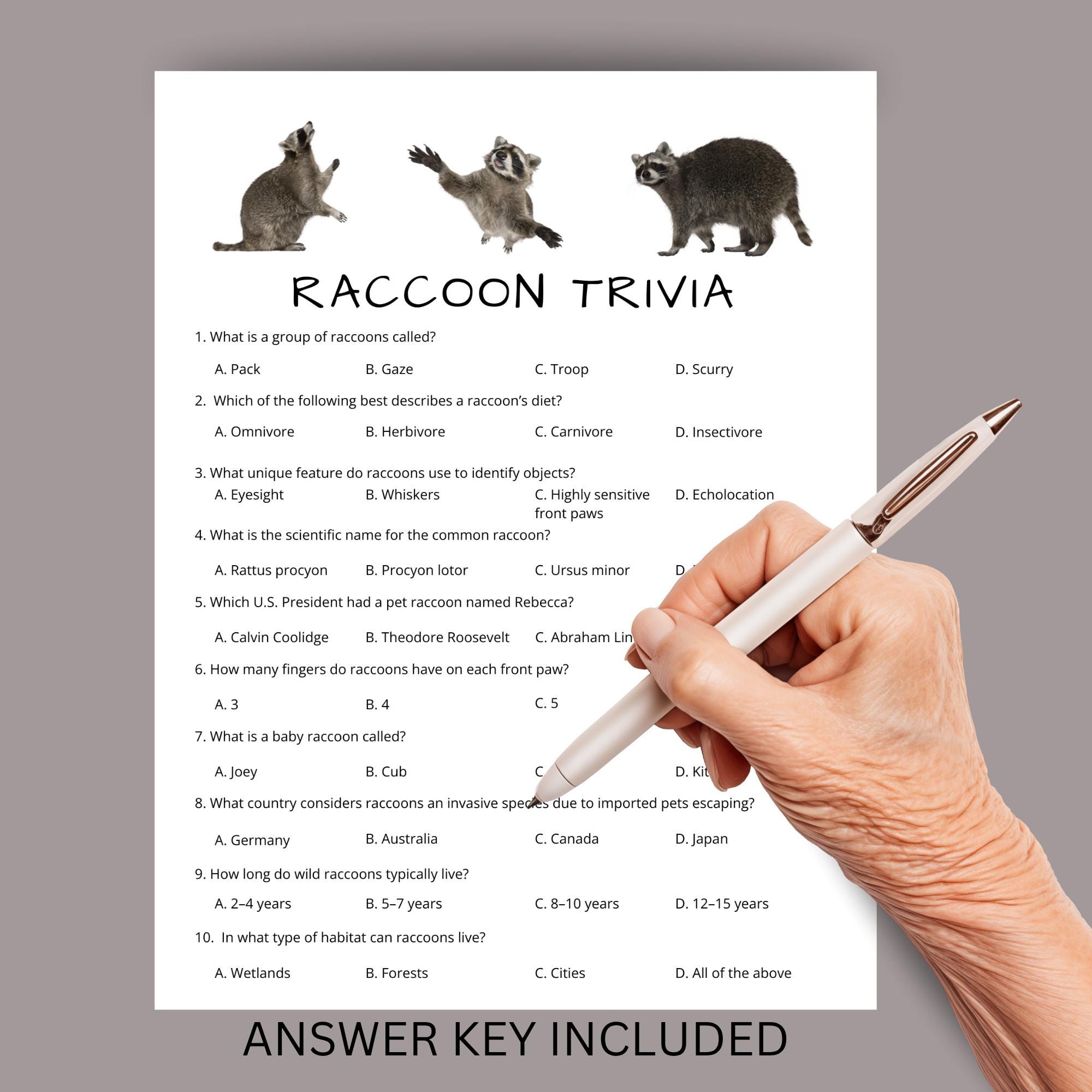 Raccoon Trivia Quiz: Printable Birthday Party Game (PDF Download) - Etsy