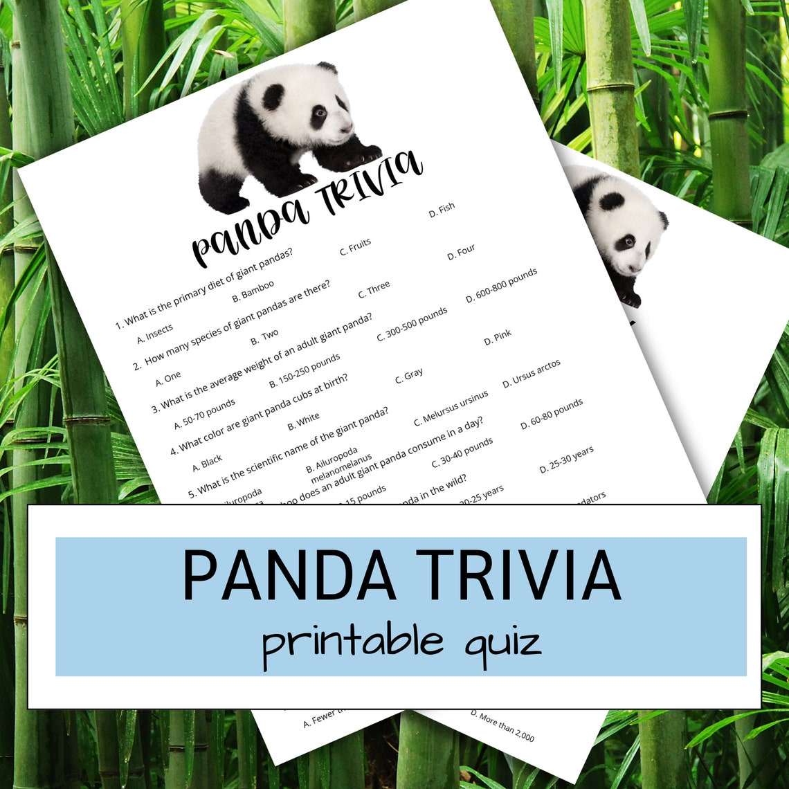 Panda Printable Quiz | Giant Panda Trivia Game | Animal Classroom ...