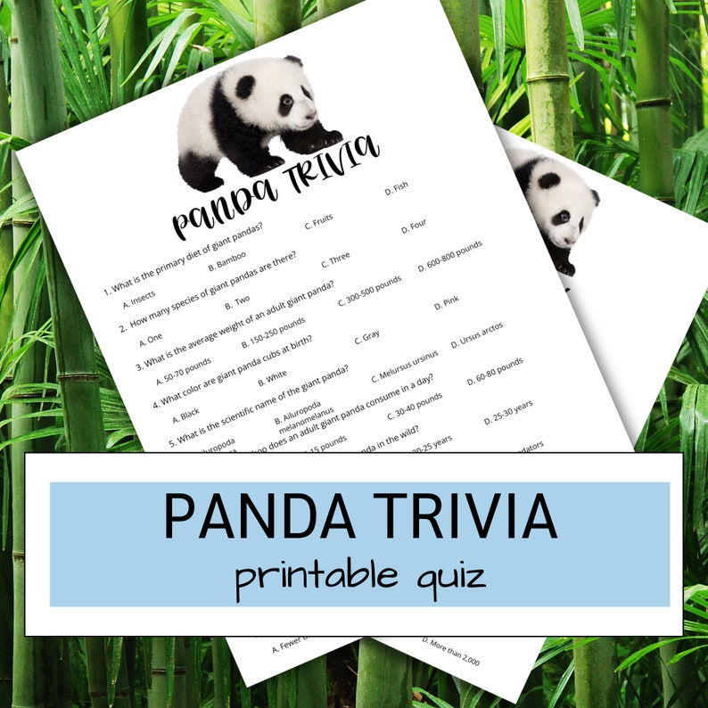 Panda Printable Quiz | Giant Panda Trivia Game | Animal Classroom ...