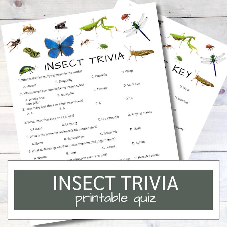 Insect Trivia Quiz: Bug Themed Party Game (printable PDF) - Etsy