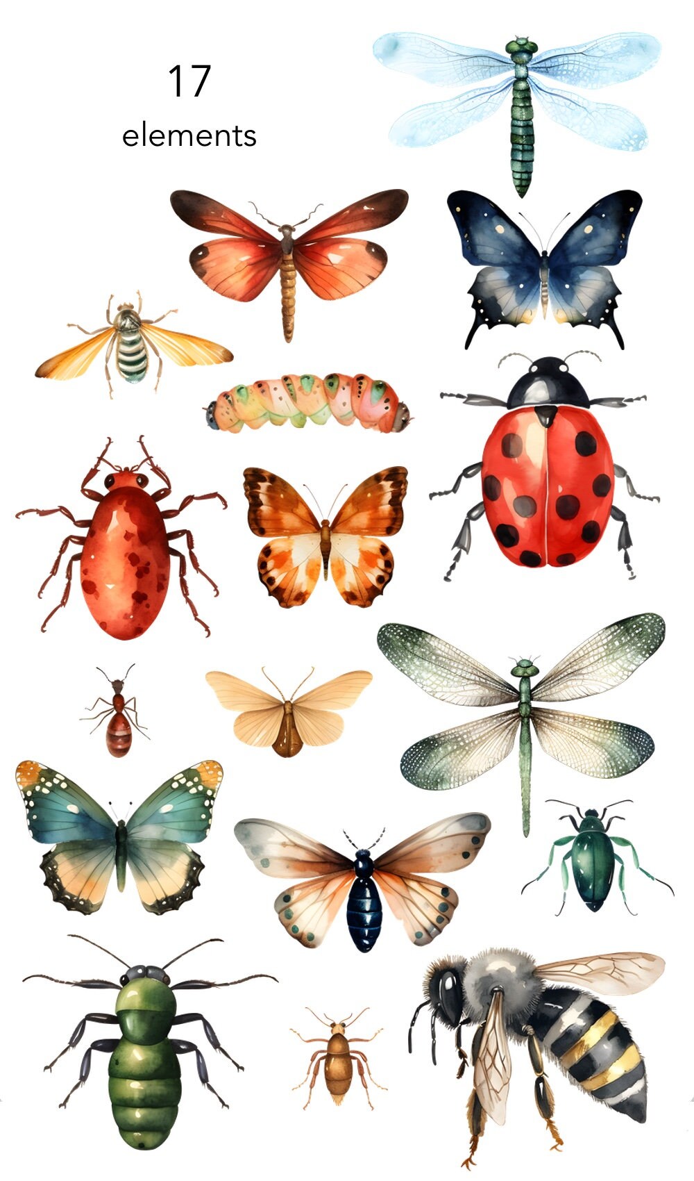 Watercolor Insect Clipart, Butterfly Clip Art, Beetle Graphics ...