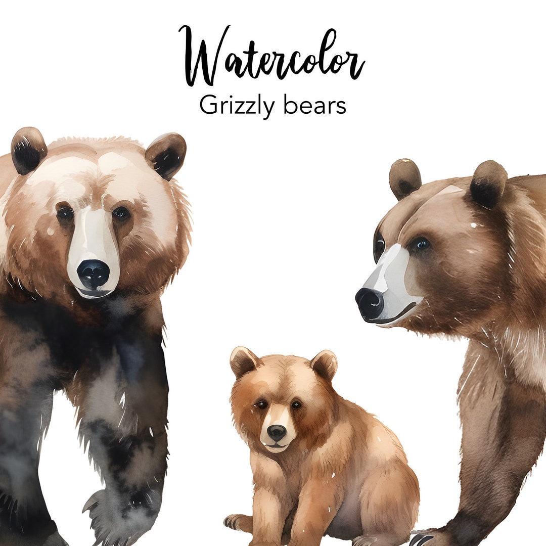 Watercolor Grizzly Bear Clipart, Baby Bear Clipart, Brown Bear Clip Art ...