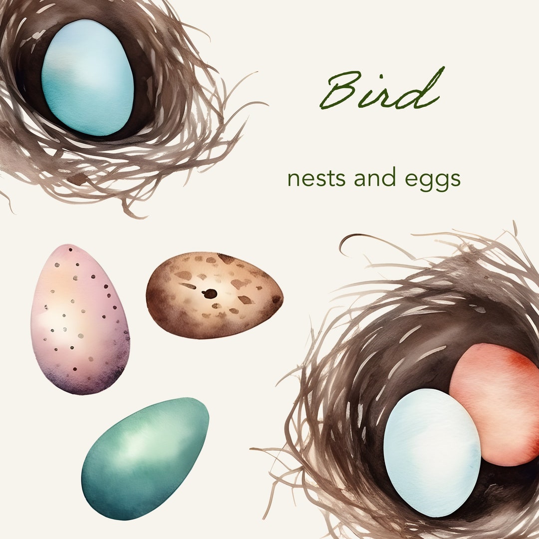 Bird Nest Clipart, Easter Eggs Clip Art Set, Spring Nature, Coloured ...