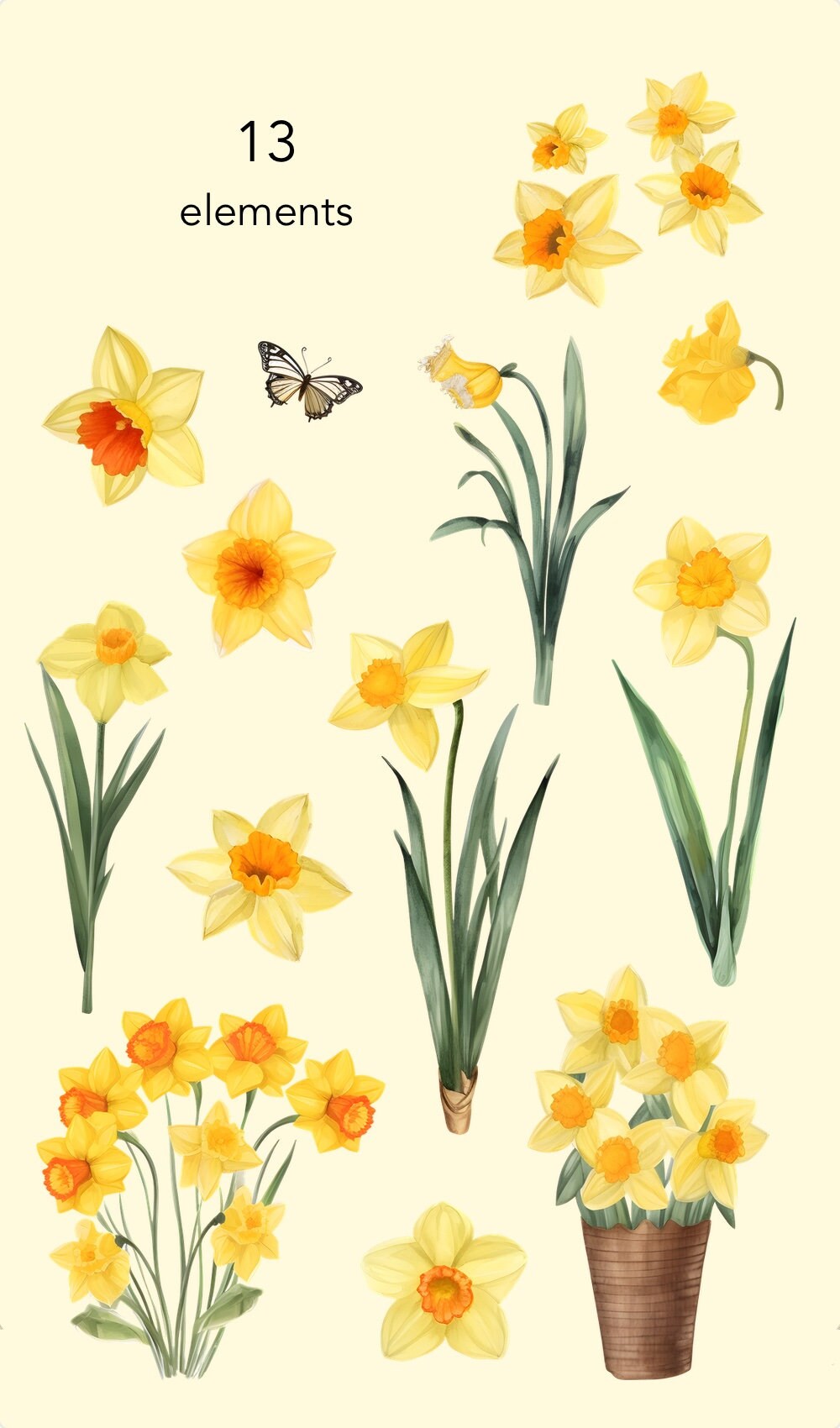 Daffodil Clipart, Yellow Flower Illustrations, Floral Png, Commercial ...