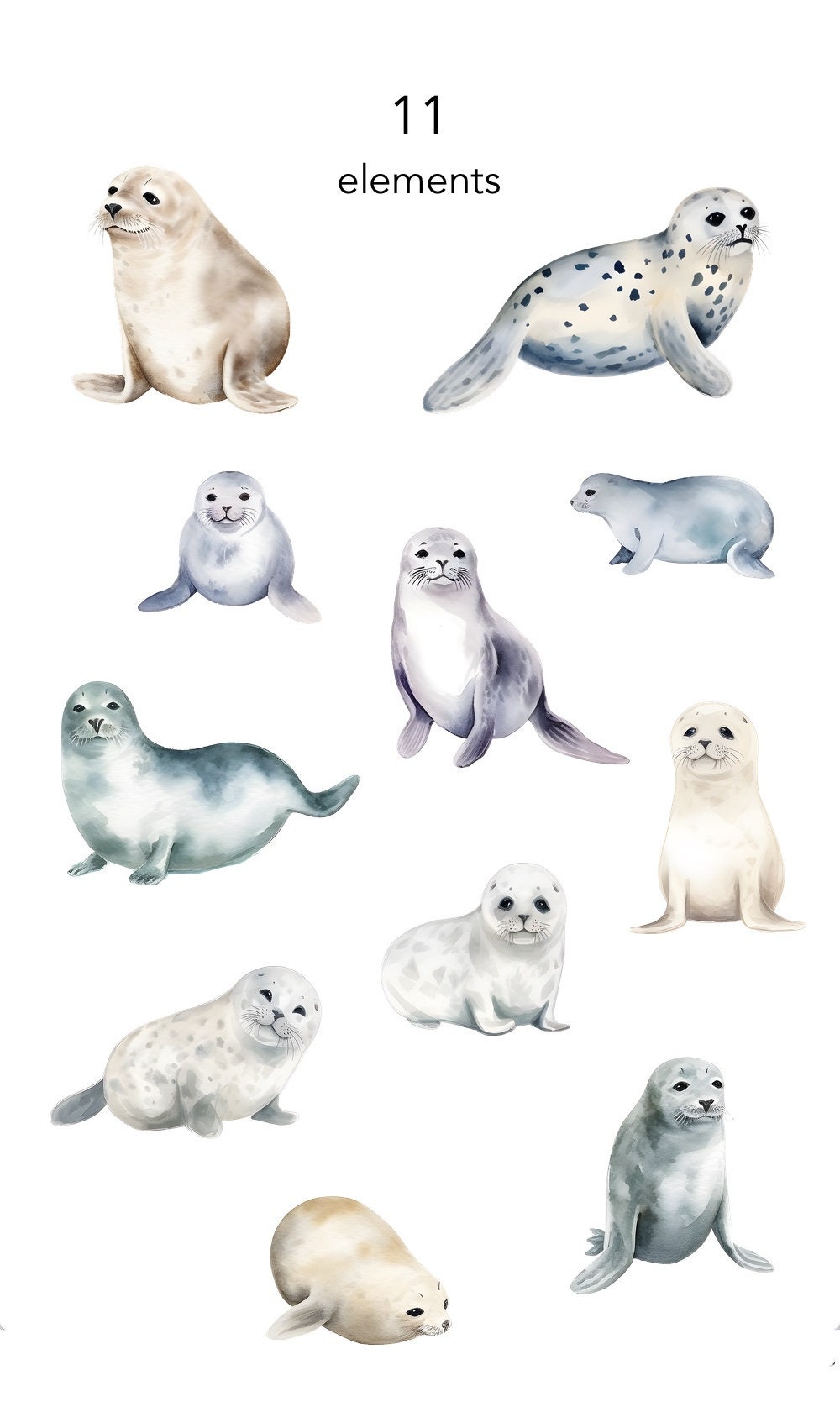 Watercolor Clipart Seals, Baby Seal Illustration, Nursery Decor ...