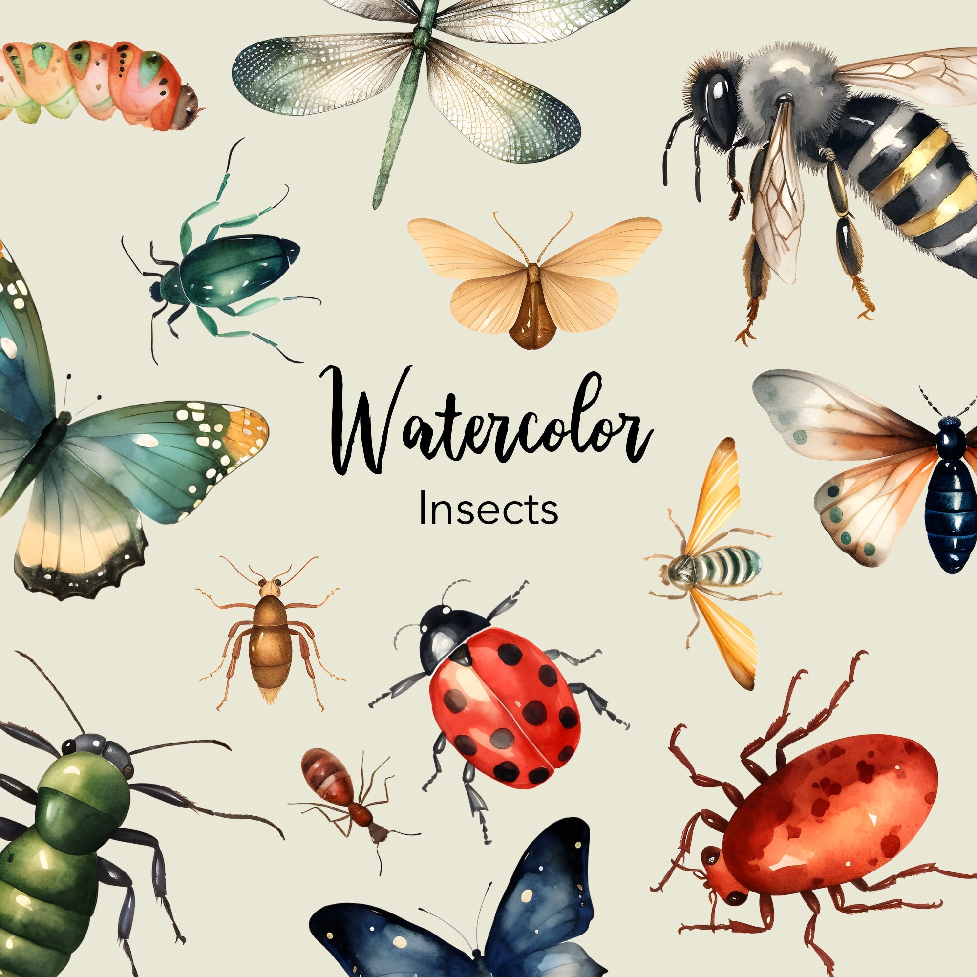 Watercolor Insect Clipart, Butterfly Clip Art, Beetle Graphics ...