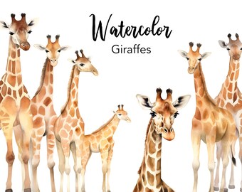 28 Watercolor Cute Baby Giraffe Clipart Baby Giraffe PNG - Etsy