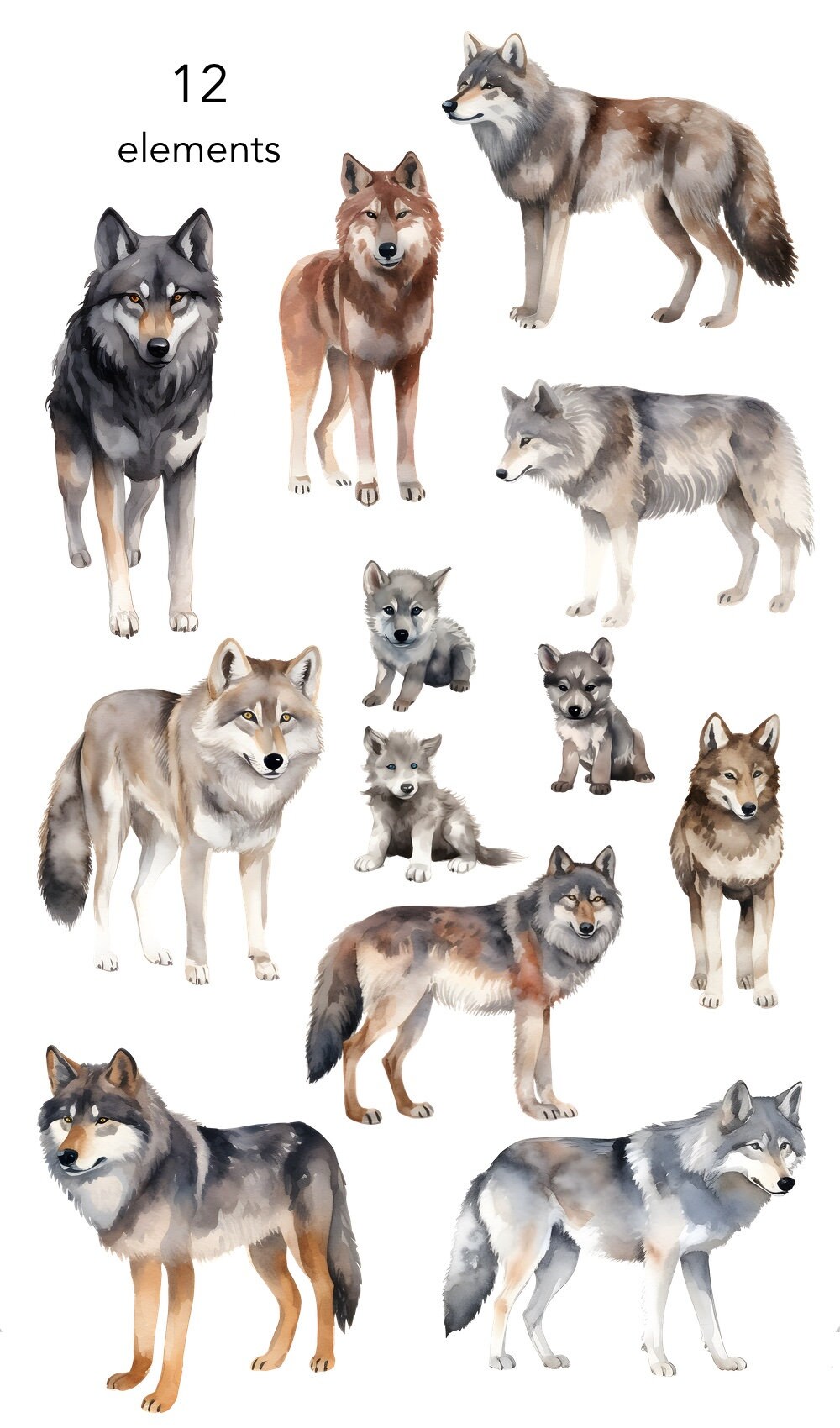 Watercolor Wolf Clipart Wolf Pup Png File Wolf Pack Clipart - Etsy