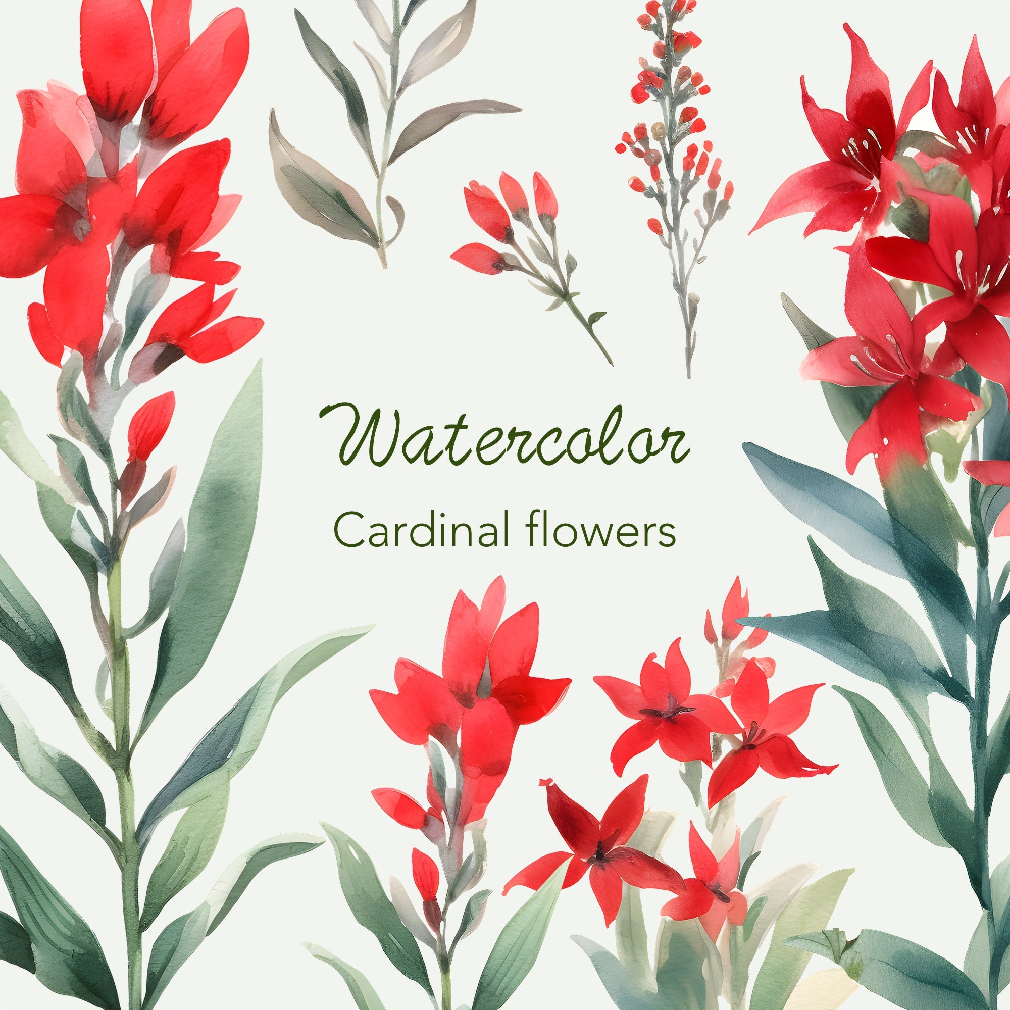 Cardinal Flowers Watercolor Clipart, Commercial Use Clipart Bundle ...