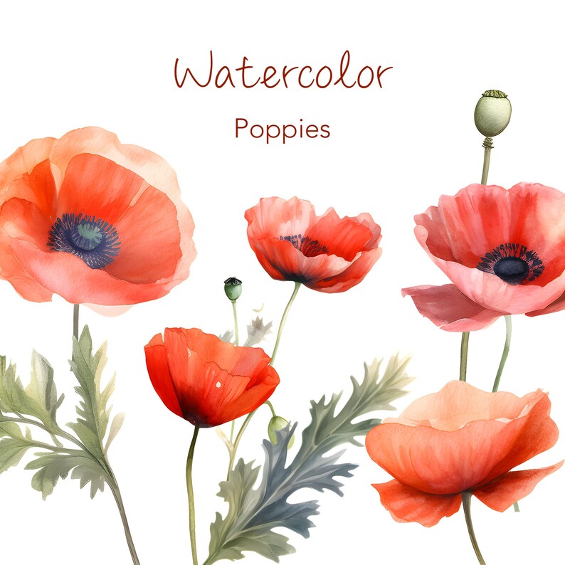 Poppy Clipart, Watercolor Poppy Clipart, Clip Art Poppies Red Floral ...