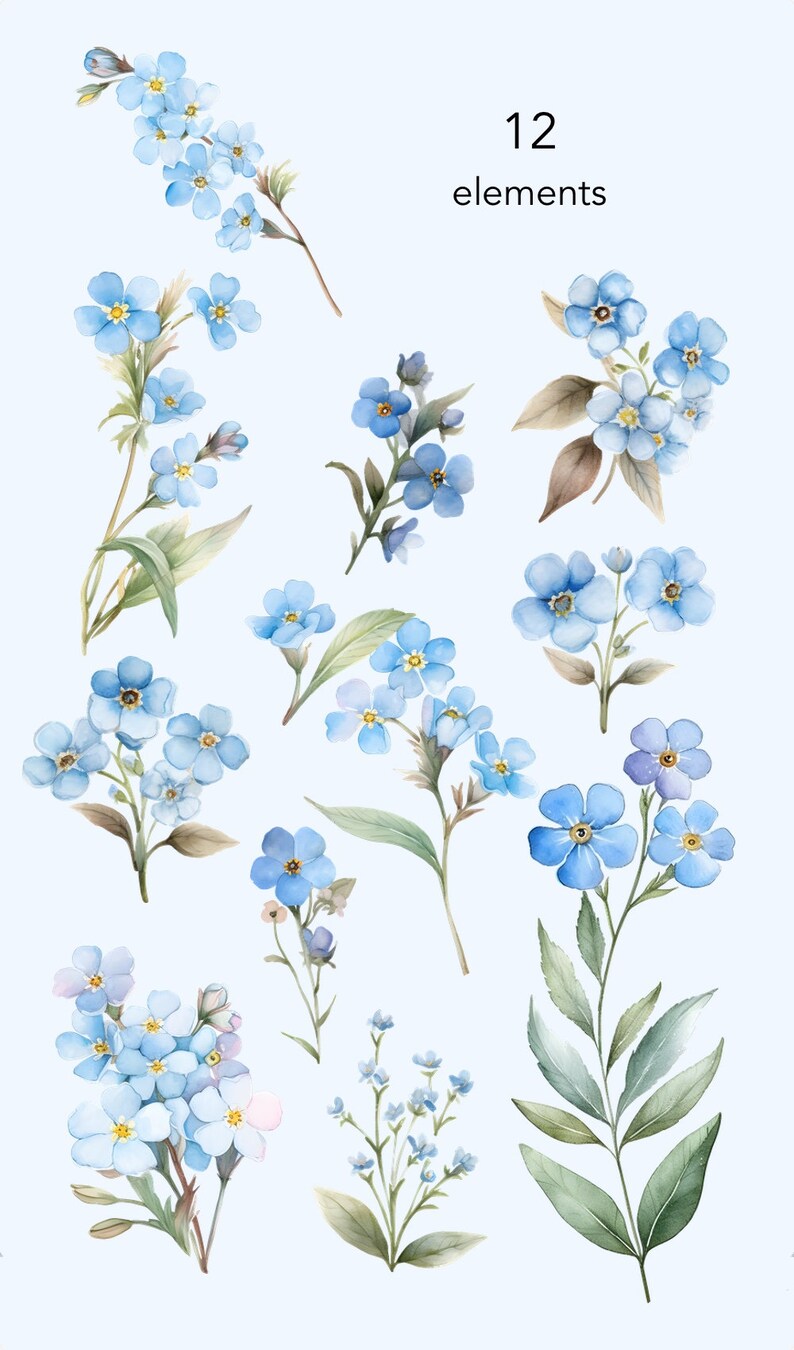 Forget Me Not Clipart, Forget-me-not Flower Clip Art, Watercolor ...