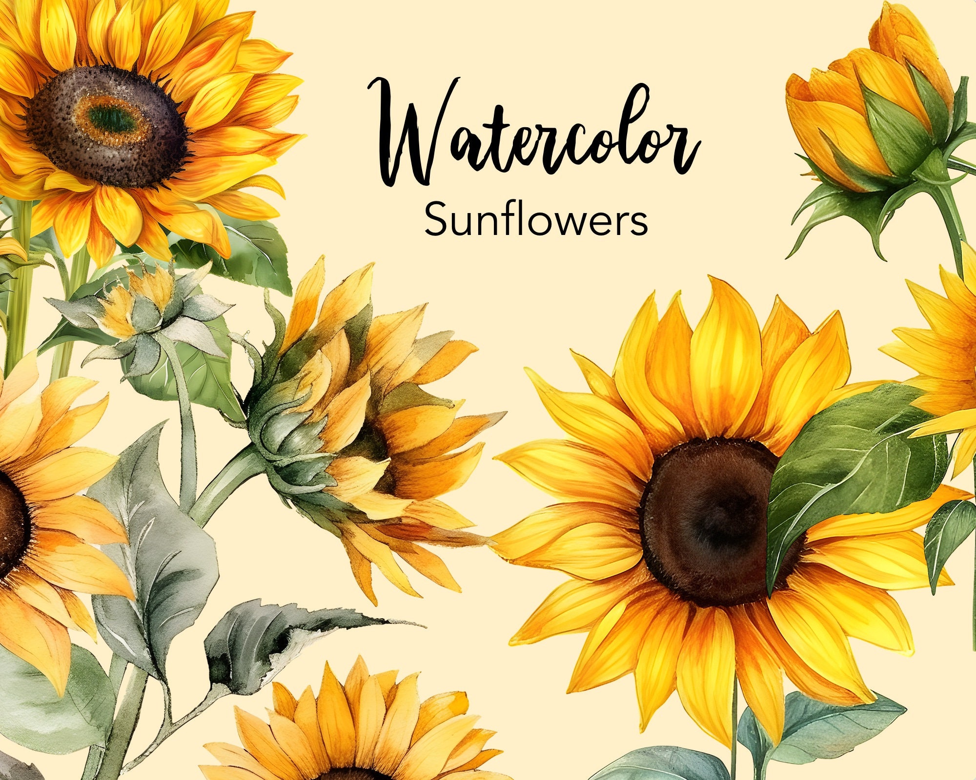 Watercolor Sunflower Clipart, Sunflower Sublimation Pngs, Clipart ...