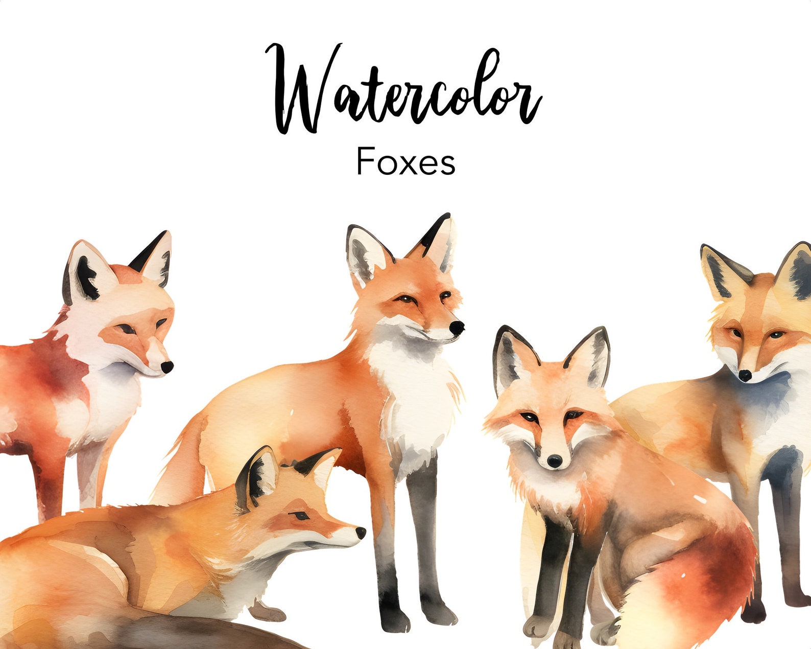Watercolor Clipart Foxes Fox Images Woodland Png Files - Etsy