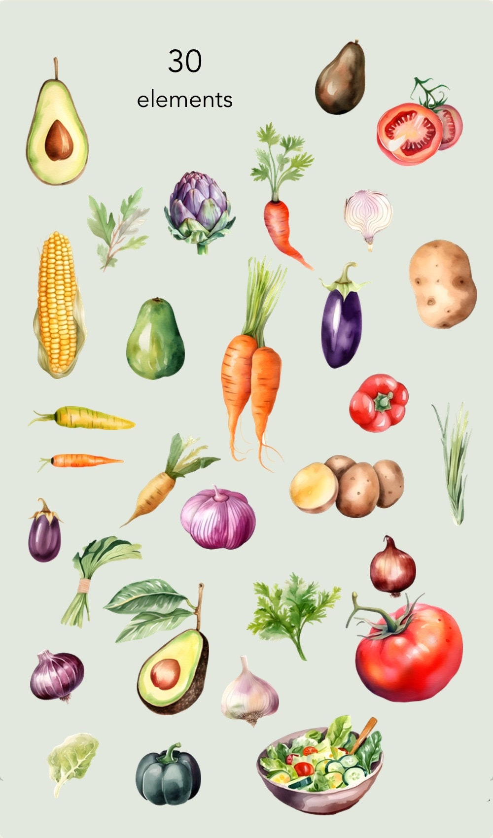 Watercolor Clipart Vegetables, Food Illustrations, Tomato Graphics ...