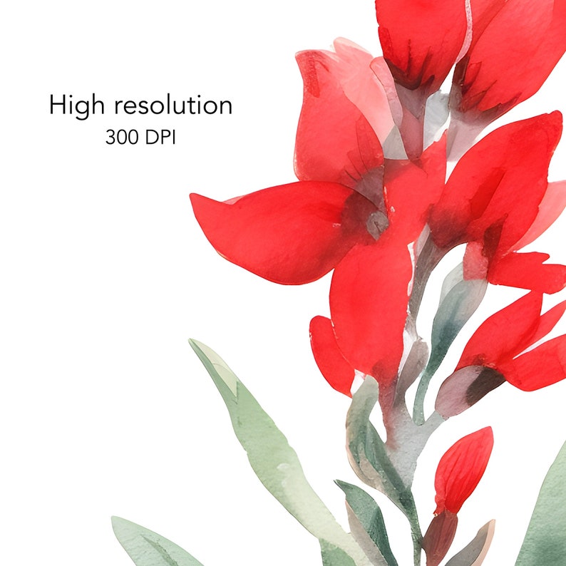 Cardinal Flowers Watercolor Clipart, Commercial Use Clipart Bundle ...