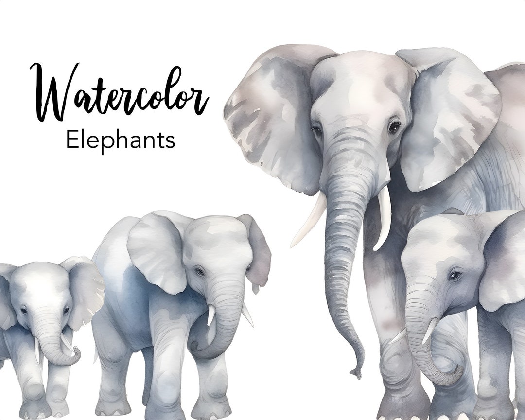 Watercolor Elephant Clipart, Baby Elephants Png Files, Zafari Images ...