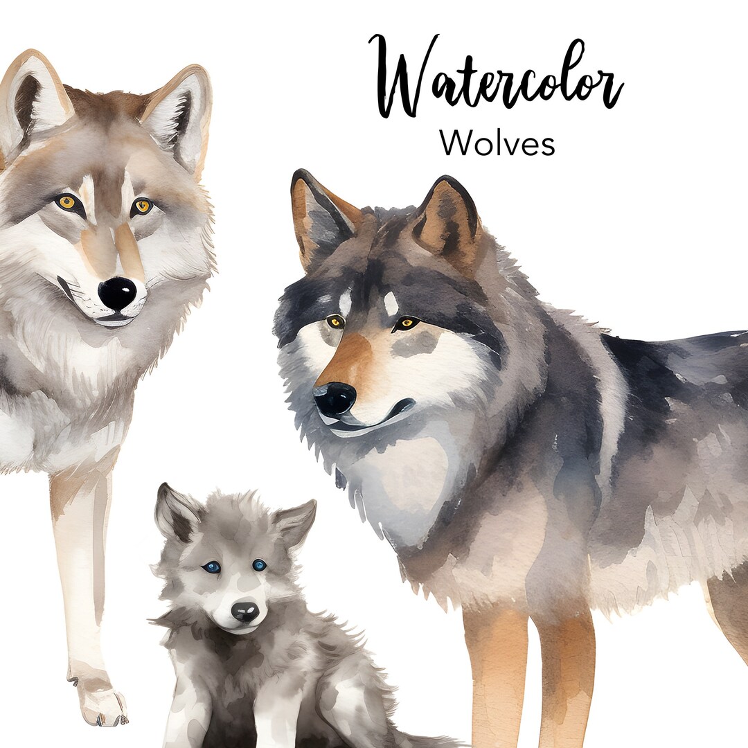 Watercolor Wolf Clipart, Wolf Pup Png File, Wolf Pack Clipart, North ...