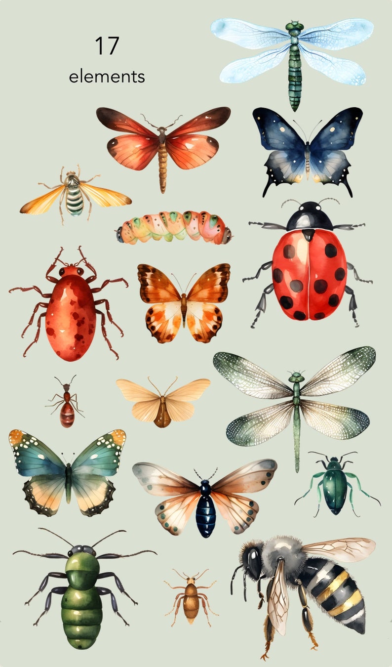 Watercolor Insect Clipart, Butterfly Clip Art, Beetle Graphics ...